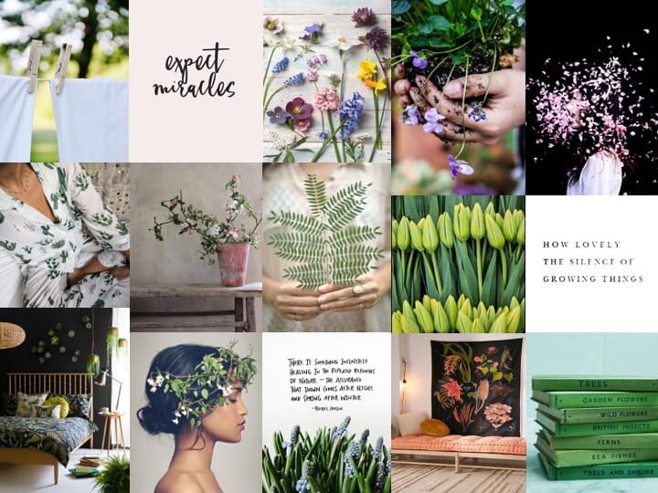 IT'S A SPRING THING – Kiss the Moon